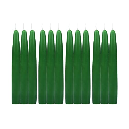 Zest Candle 12-Piece Taper Candles, 6-Inch, Hunter Green