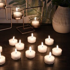 Zest Candle 50-Piece Tealight Candles, White