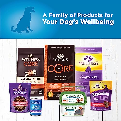 Wellness Simple Natural Wet Canned Limited Ingredient Dog Food, Turkey & Potato, 12.5-Ounce Can (Pack of 12)