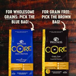 Wellness CORE Natural Grain Free Dry Dog Food, Puppy, 26-Pound Bag