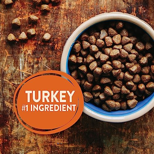 Wellness CORE Natural Grain-Free Small Breed Turkey & Chicken Dry Dog Food for Adult Dogs, High-Protein, USA-Made with Real Meat, 12-Pound Bag