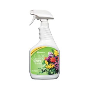 crowning glory flower spray 32 fl. oz