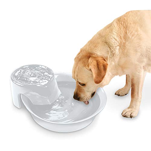 Pioneer Pet Big Max Ceramic Drinking Fountain for Pets, White, 8 lb