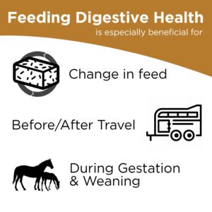 Formula 707 Digestive Health Equine Supplement, 4lb Bucket – Probiotics, Prebiotics and Digestive Enzymes for Horses