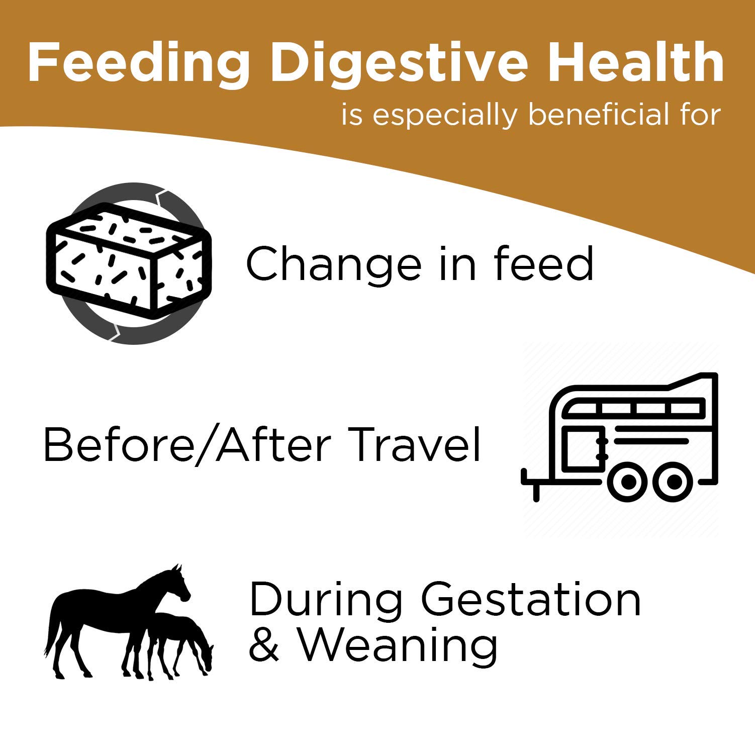 Formula 707 Digestive Health Equine Supplement, 4lb Bucket – Probiotics, Prebiotics and Digestive Enzymes for Horses