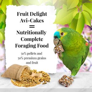 LAFEBER'S Fruit Delight Avi-Cakes Pet Bird Food, Made with Non-GMO and Human-Grade Ingredients, for Parrots (8 oz Pack of 1)