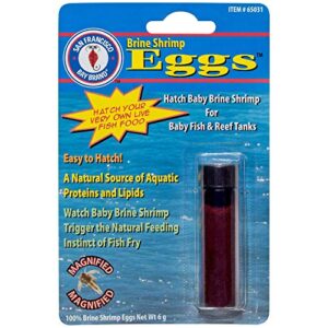 san francisco bay brand brine shrimp eggs 0.2-ounces (6 grams) vial