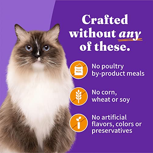 Halo Adult Grain Free Wet Cat Food Pate, Chicken Recipe, Healthy Cat Food with Real, Whole Chicken, 5.5 oz Can (Pack of 12)