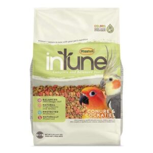 higgins 466250 hig intune conure tiel 2lb, large