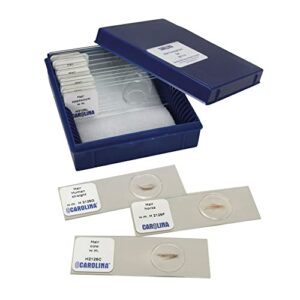 hair comparison microscope slide set