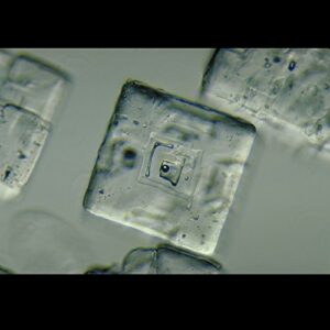 Salt Crystals, w.m., Microscope Slides