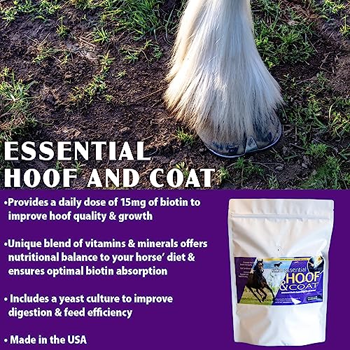 Pennwoods Essential Hoof & Coat - Horse Supplement with Biotin for Optimal Equine Hoof Growth, Healthy Coat & Nutritional Balance, 4lb Bag