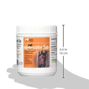 Kentucky Performance Prod Elevate Se Natural Vitamin E and Selenium Powder for Horses, 2 Pound Container