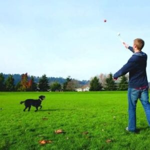 Chuckit! Pro 25M Dog Ball Launcher, 25" Length, Includes Medium Ball (2.5") For Dogs 20-60 Pounds