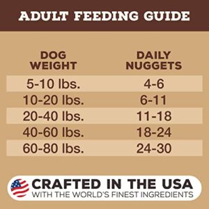 Primal Freeze Dried Nuggets for Dogs Lamb, Complete Meal Freeze Dried Dog Food Healthy Grain Free Raw Dog Food, Crafted in The USA (14 oz)