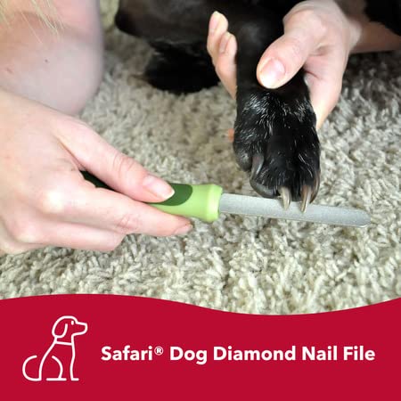 Coastal Pet Safari Dog Diamond Nail File - Diamond Finish for Smooth Nails - Removes Burs from Outdoor & Indoor Dogs - One Size