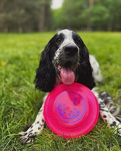 Hyperflite Jawz Flying Puncture-Resistant Spot Competition Dog Disc, Mango, 8.75-Inch