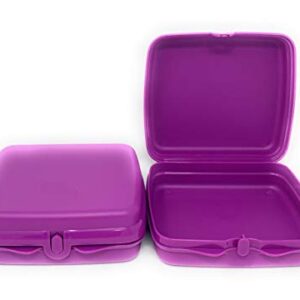 Sandwich Keeper Set in Purple By Tupperware