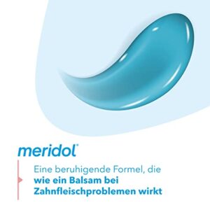 meridol Toothpaste Double Pack (2x75ml), 150 ml