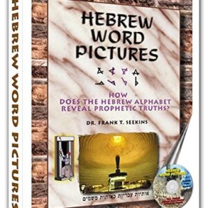 Hebrew Word Pictures - See how the ancient Hebrew letters declare the Gospel - 256 glossy pages of full color and a CD