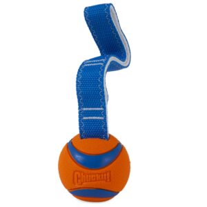 chuckit! ultra tug dog toy, medium fetch and dog ball tug toy for dogs 20-60 pounds