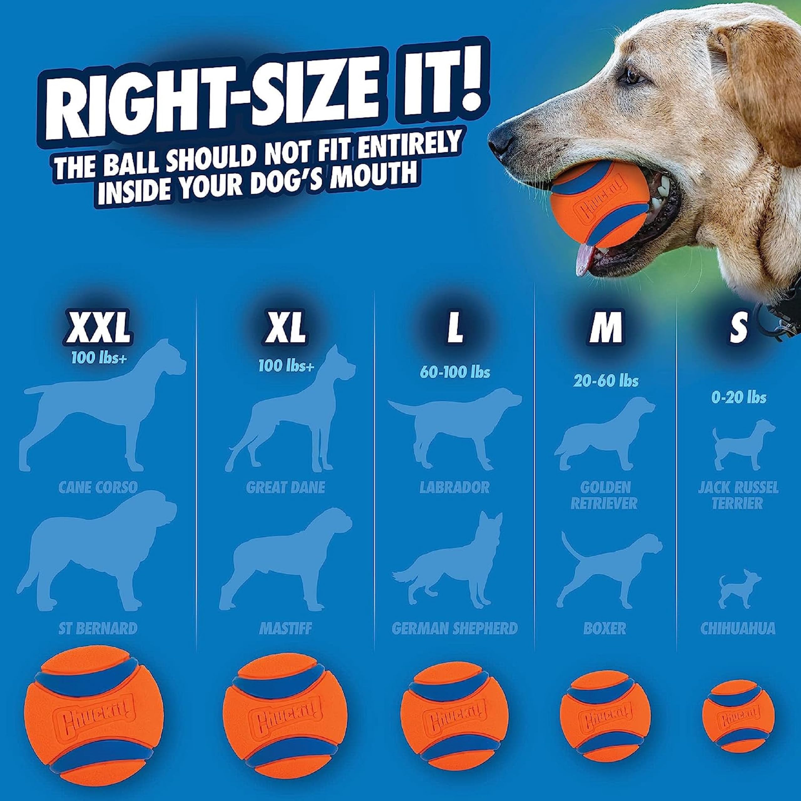 Chuckit! Ultra Tug Dog Toy, Medium Fetch and Dog Ball Tug Toy for Dogs 20-60 Pounds