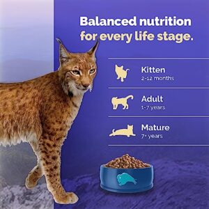 Blue Buffalo Cat Food for Mature Cats, Natural Chicken Recipe, Senior Dry Cat Food, 5 lb bag