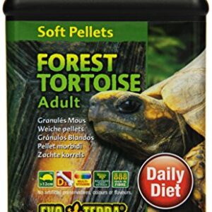 Exo Terra Forest Tortoise Food, Soft Pellets for Reptiles, Adult, 20.8 Oz., PT3226