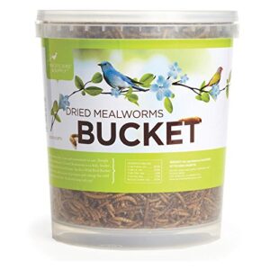 pacific bird & supply co. dried mealworm bucket, 14.0oz