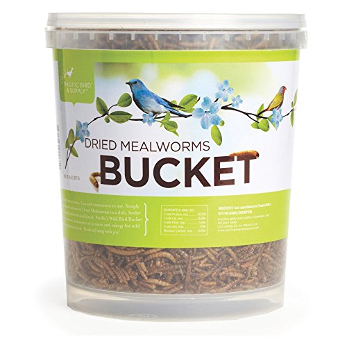 Pacific Bird & Supply Co. Dried Mealworm Bucket, 14.0oz