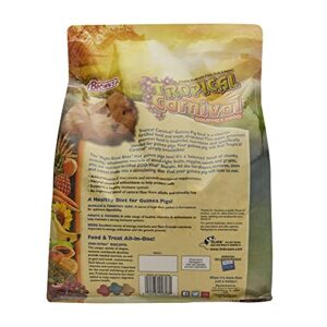 F.M. Brown's Tropical Carnival Gourmet Guinea Pig Food with Alfalfa and Timothy Hay Pellets - Vitamin-Nutrient Fortified Daily Diet - 10 lb