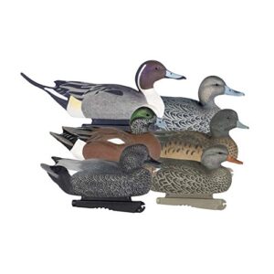 avery life-size duck puddler pack (1/2 dozen)