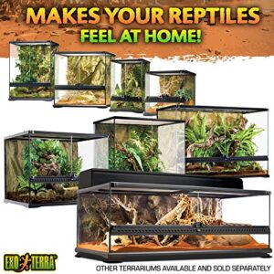 Exo Terra Glass Natural Terrarium Kit, for Reptiles and Amphibians, Short Wide, 24 x 18 x 12 Inches, PT2604A1