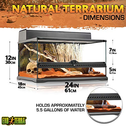 Exo Terra Glass Natural Terrarium Kit, for Reptiles and Amphibians, Short Wide, 24 x 18 x 12 Inches, PT2604A1