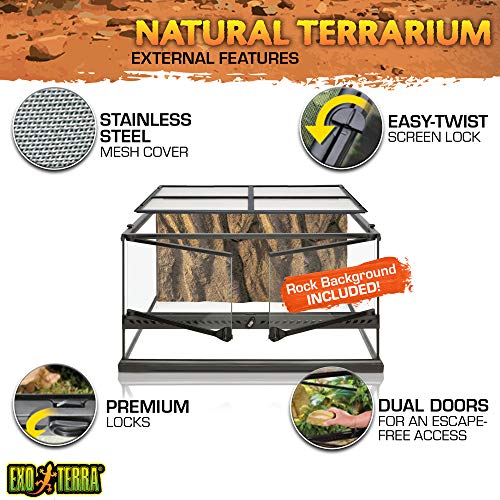 Exo Terra Glass Natural Terrarium Kit, for Reptiles and Amphibians, Short Wide, 24 x 18 x 12 Inches, PT2604A1