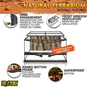 Exo Terra Glass Natural Terrarium Kit, for Reptiles and Amphibians, Short Wide, 24 x 18 x 12 Inches, PT2604A1