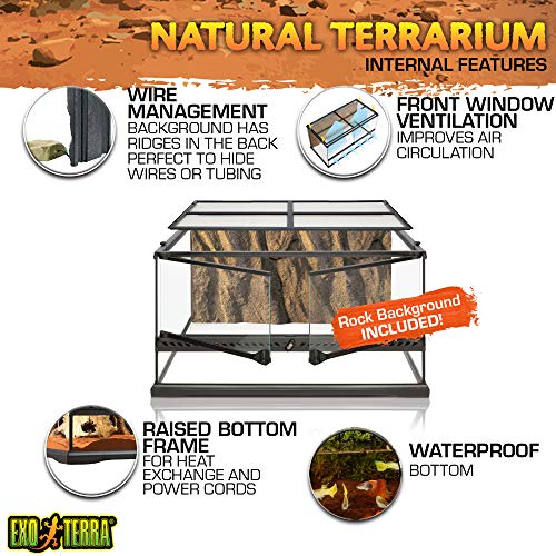 Exo Terra Glass Natural Terrarium Kit, for Reptiles and Amphibians, Short Wide, 24 x 18 x 12 Inches, PT2604A1