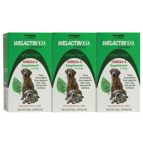 Nutramax Welactin Omega-3 Fish Oil Skin and Coat Health Supplement Liquid for Dogs - 3 Pack, 360 Total Softgels