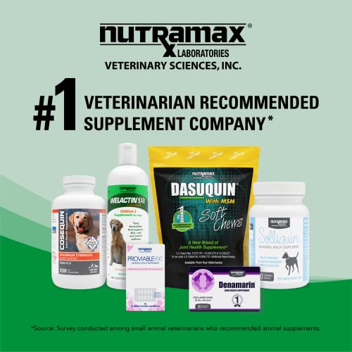 Nutramax Welactin Omega-3 Fish Oil Skin and Coat Health Supplement Liquid for Dogs - 3 Pack, 360 Total Softgels