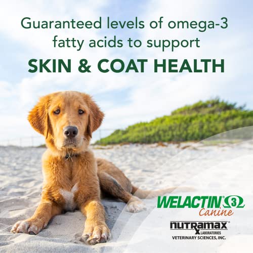 Nutramax Welactin Omega-3 Fish Oil Skin and Coat Health Supplement Liquid for Dogs - 3 Pack, 360 Total Softgels