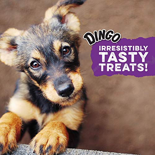 Dingo 99043 Dynostix Rawhide Treats,White, 10-Count 10.58 Oz, Packaging May Vary