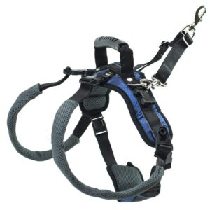 PetSafe CareLift Rear Support Harness – Lifting Aid with Handle and Shoulder Strap – Great for Pet Mobility and Older Dogs – Comfortable, Breathable Material – Easy to Adjust, Black, Large