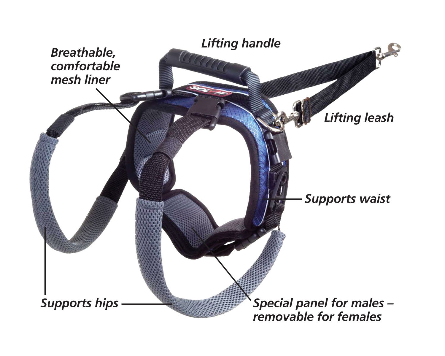 PetSafe CareLift Rear Support Harness – Lifting Aid with Handle and Shoulder Strap – Great for Pet Mobility and Older Dogs – Comfortable, Breathable Material – Easy to Adjust, Black, Large