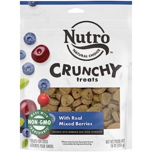 nutro crunchy dog treats with real mixed berries, 16 oz. bag