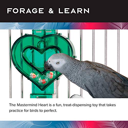 Featherland Paradise | Creative Foraging Systems Mastermind Heart, Interactive Cage-Mounted Bird Treat Toy