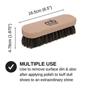 Moneysworth & Best Shoe Shine Brush