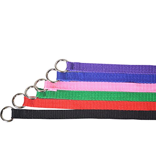 Downtown Pet Supply Slip Lead Dog Leash 6 Pack, 4' x 1/2" - Universal Dog Slip Leash with Metal O Ring - Machine Washable Dog Slip Lead for Groomers, Shelters, Rescues, Vets, or Doggy Daycares