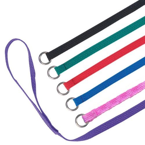 Downtown Pet Supply Slip Lead Dog Leash 6 Pack, 4' x 1/2" - Universal Dog Slip Leash with Metal O Ring - Machine Washable Dog Slip Lead for Groomers, Shelters, Rescues, Vets, or Doggy Daycares