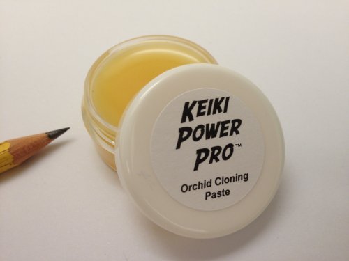 Keiki Power Pro Orchid Plant Cloning Paste