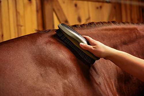 WAHL Professional Animal Equine Grooming Stiff Body Horse Brush, Black (858705)